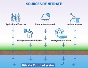 Nitrate in Drinking Water